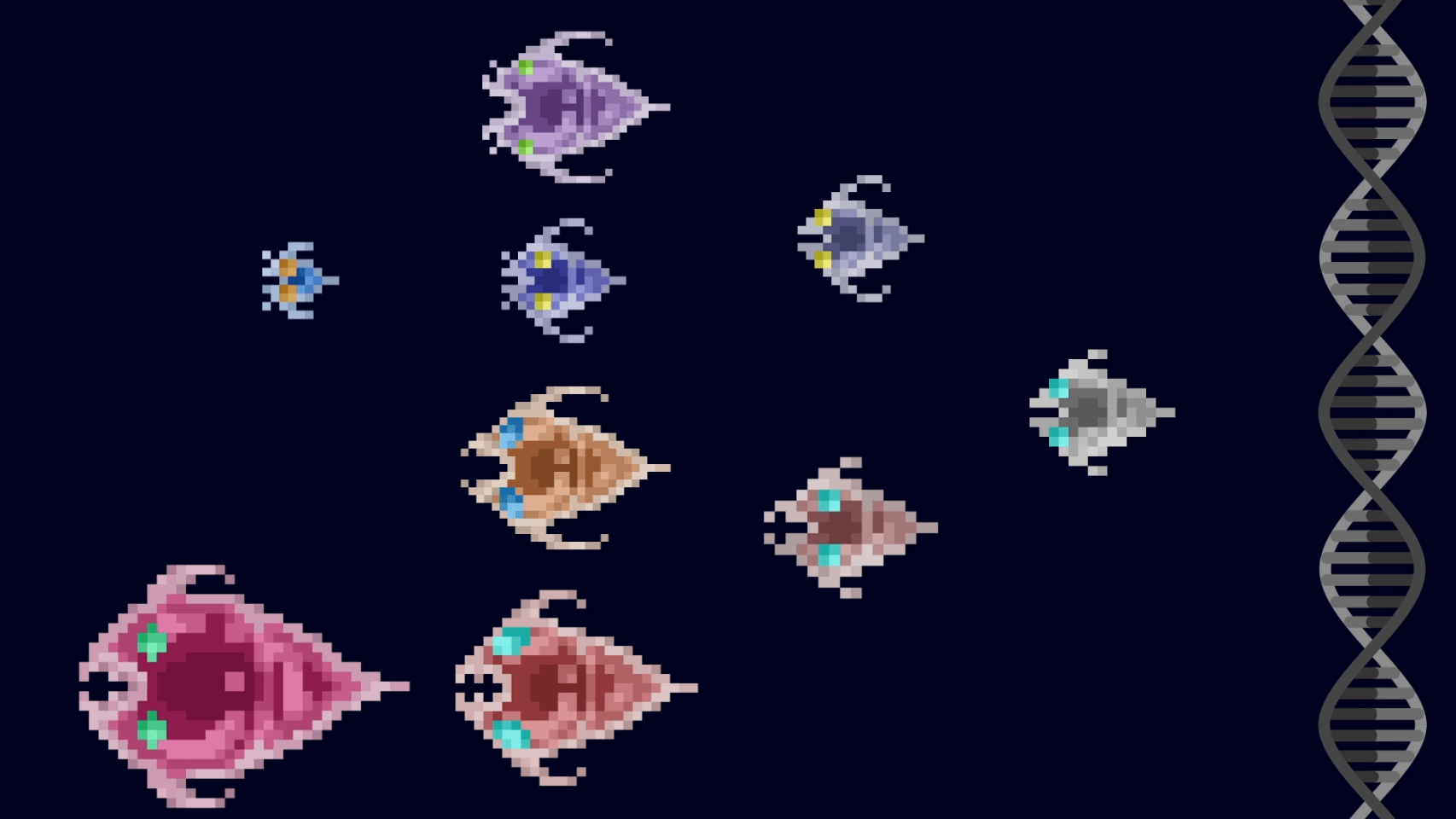 THE BIBITES - Digital Life