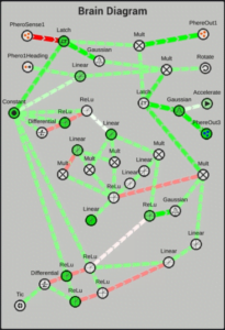 THE BIBITES - Digital Life